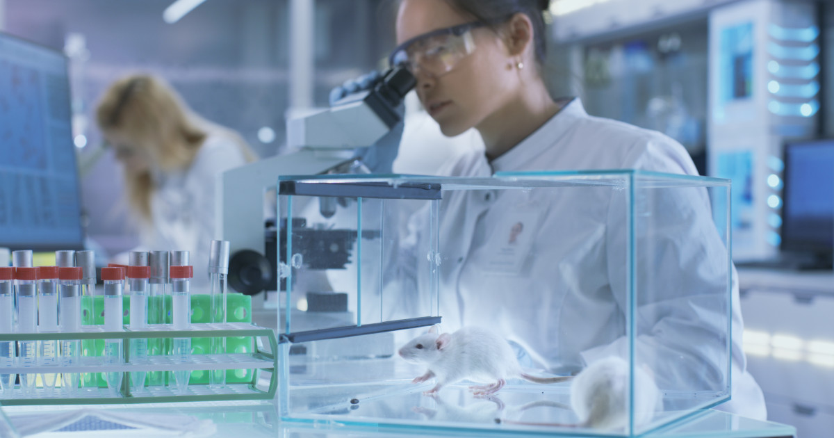 Harvard Researchers Successfully Restore Vision Loss and Glaucoma ...